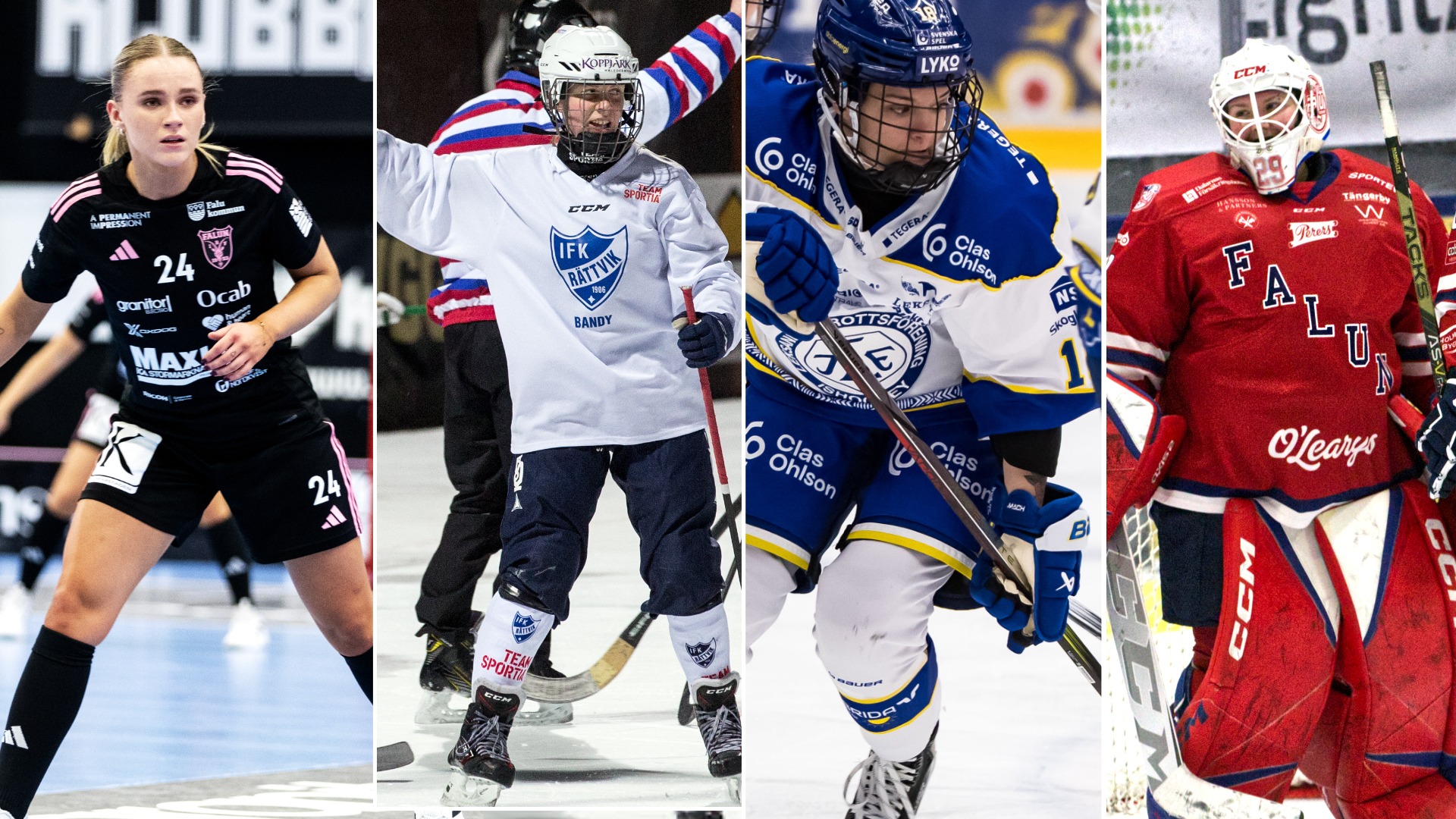 Damlagen i Dalarna – en avvecklingsbransch? – Centrala Stadsrum